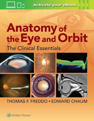Thomas F Freddo Edward Chaum Anatomy of the Eye and Orbit (Hardback ...