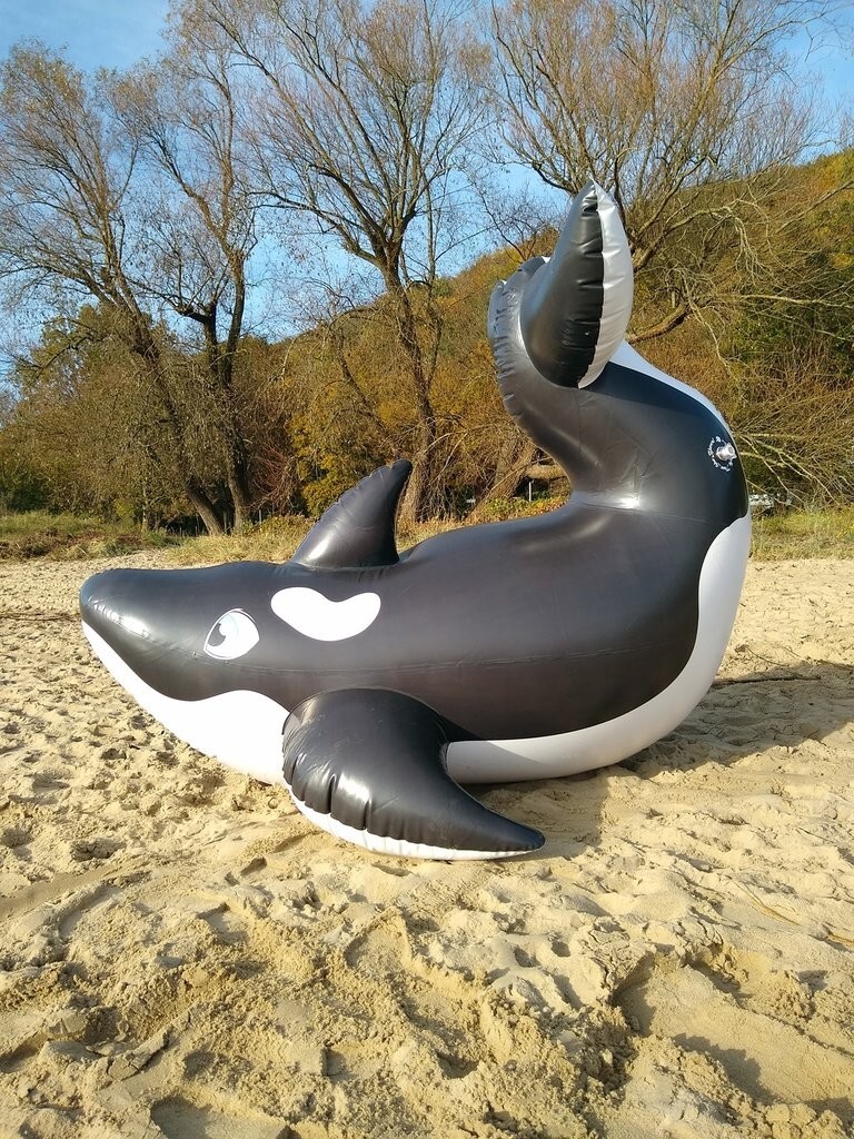 Big ***GIANT*** Inflatable **JUMBO** Whale 7+ feet (2M) long Big ...