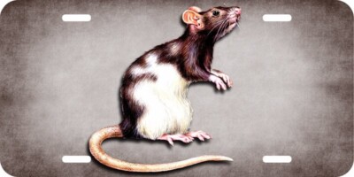 Rat Pet Rats Animal Pets Aluminum Car Vanity Plate Tag LP737 | eBay
