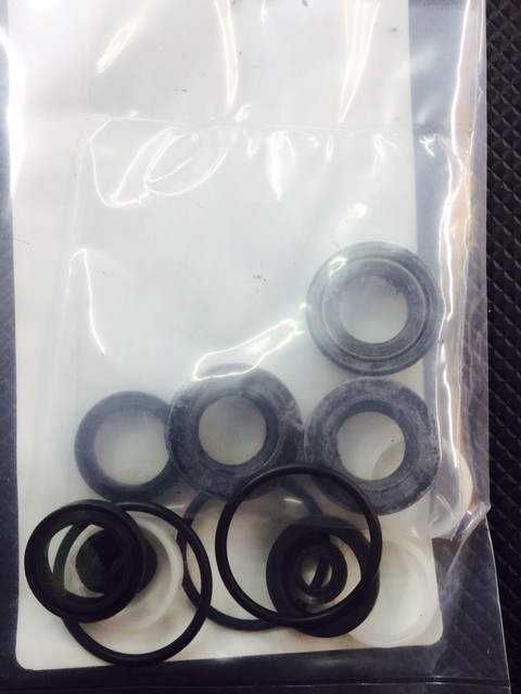 30530 OEM Seal Kit for CAT PUMPS 3dx29gsi 3dx30gsi for sale online | eBay