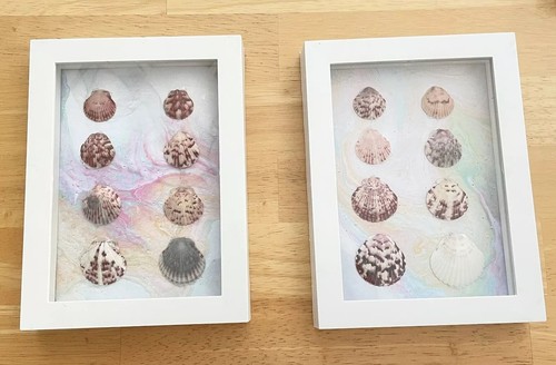 Scallops From Sanibel Shadow Box 6x 8 Frame. Beach House Bathroom Decor ...