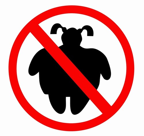 No Fat Chicks Sticker Decal funny girls driving art pun | eBay