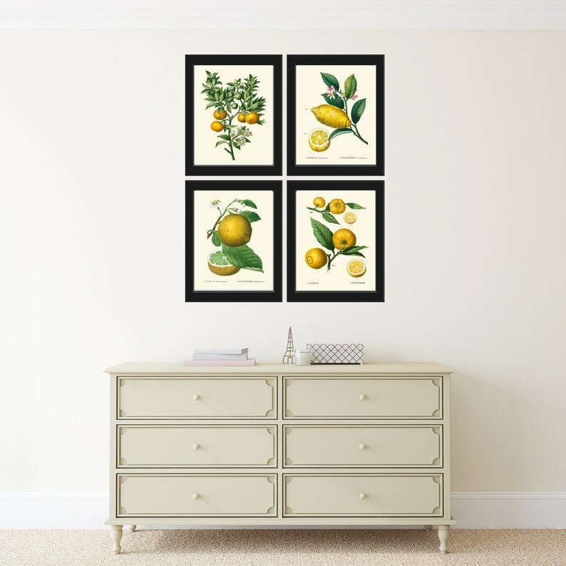 Citrus Fruit Lemon Oranges Wall Decor Art Prints Set of 4 Beautiful ...