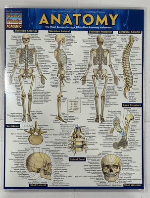 QuickStudy Bar Chart: Bar Charts Anatomy Study Guide Med/Health | eBay