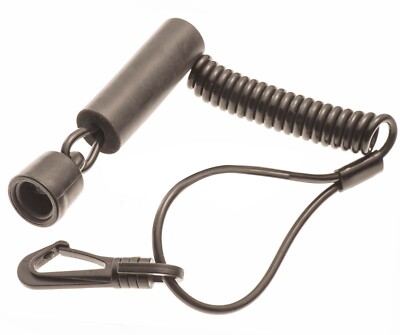 Sea Doo Dess Ignition Key& Floating Lanyard Tether Black 278002199 ...