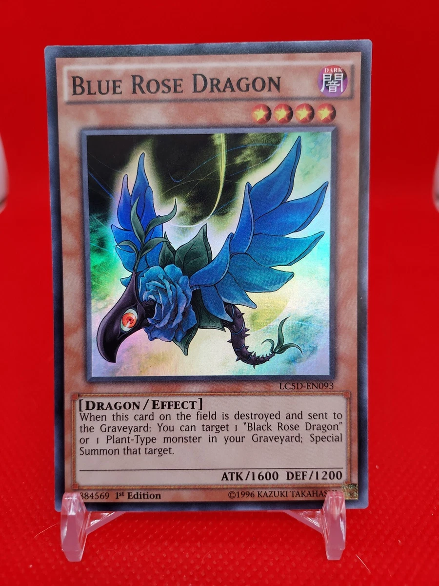 Blue Rose Dragon