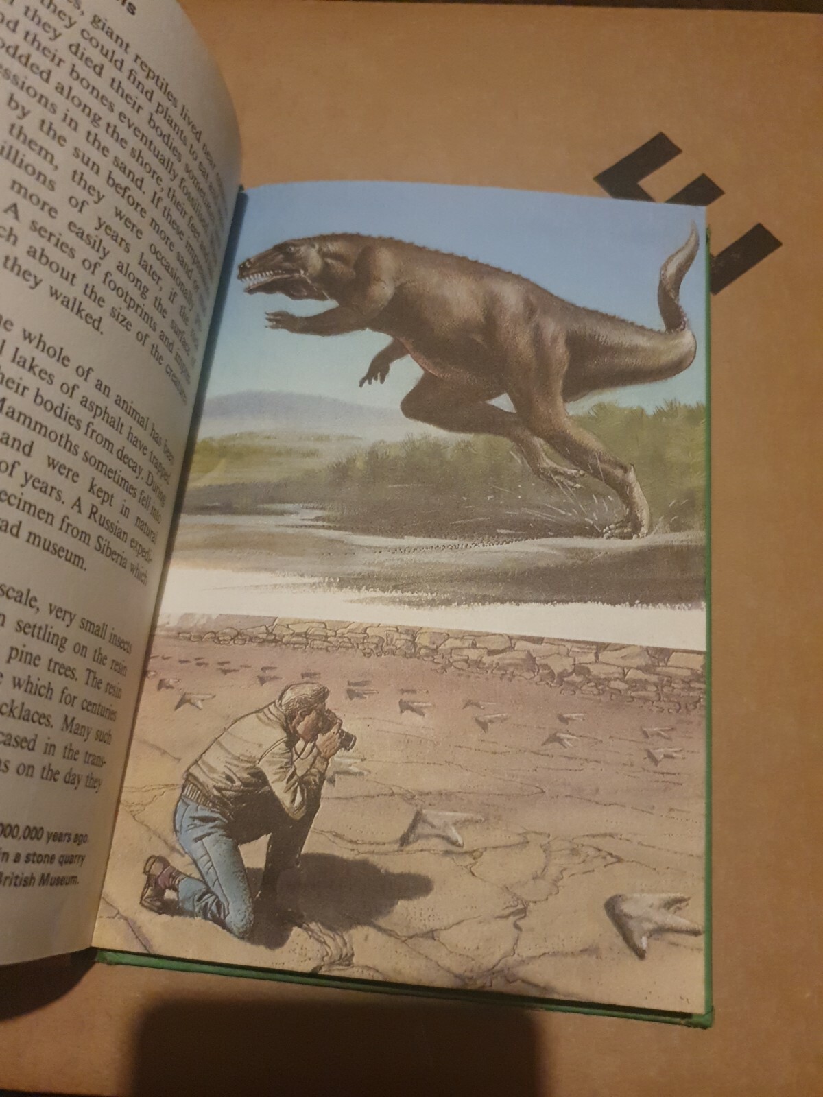 Ladybird book Series 651 Prehistoric Animals And Fossils Robert Ayton ...