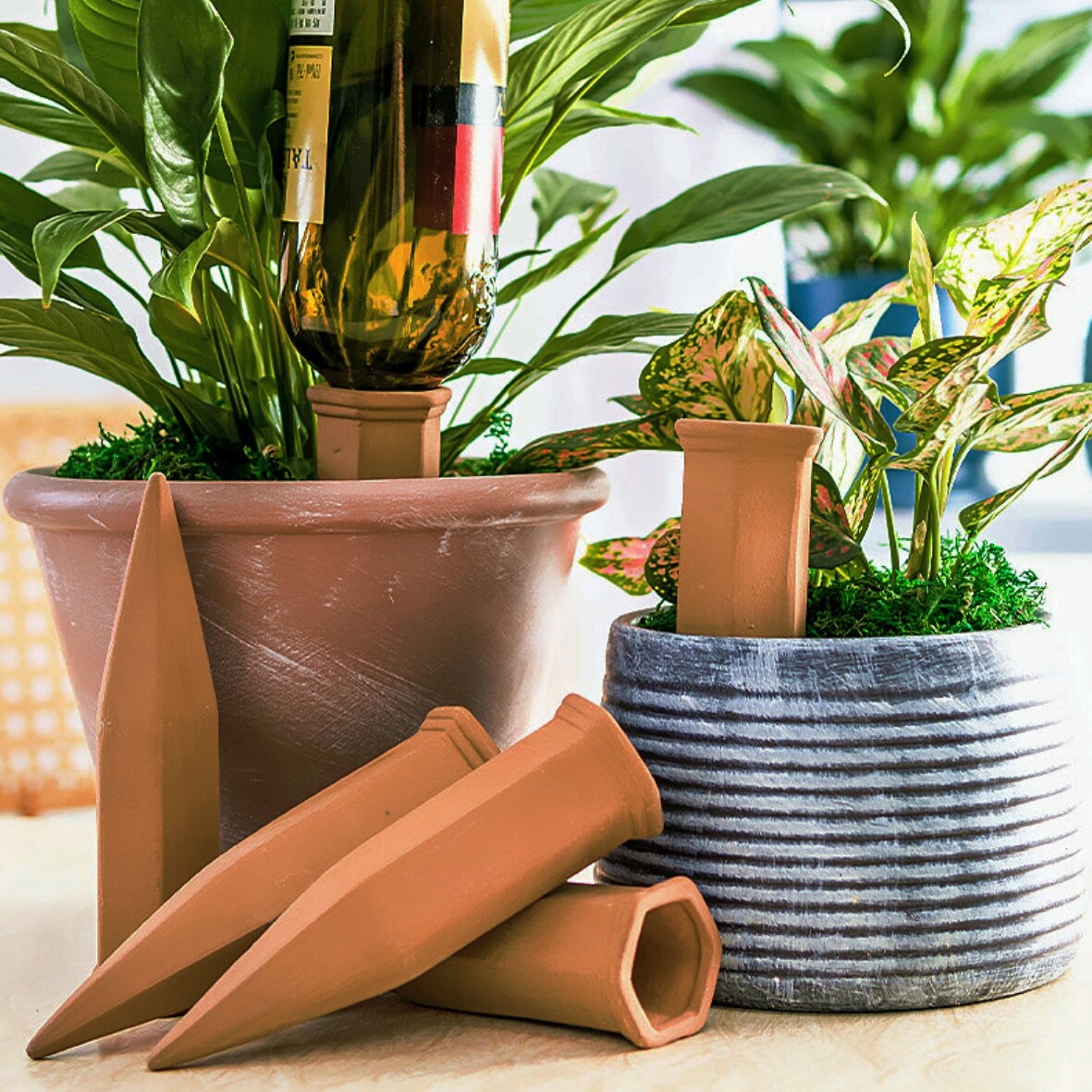4-8 pack Terracotta Plant Watering Stakes | Grelly UK