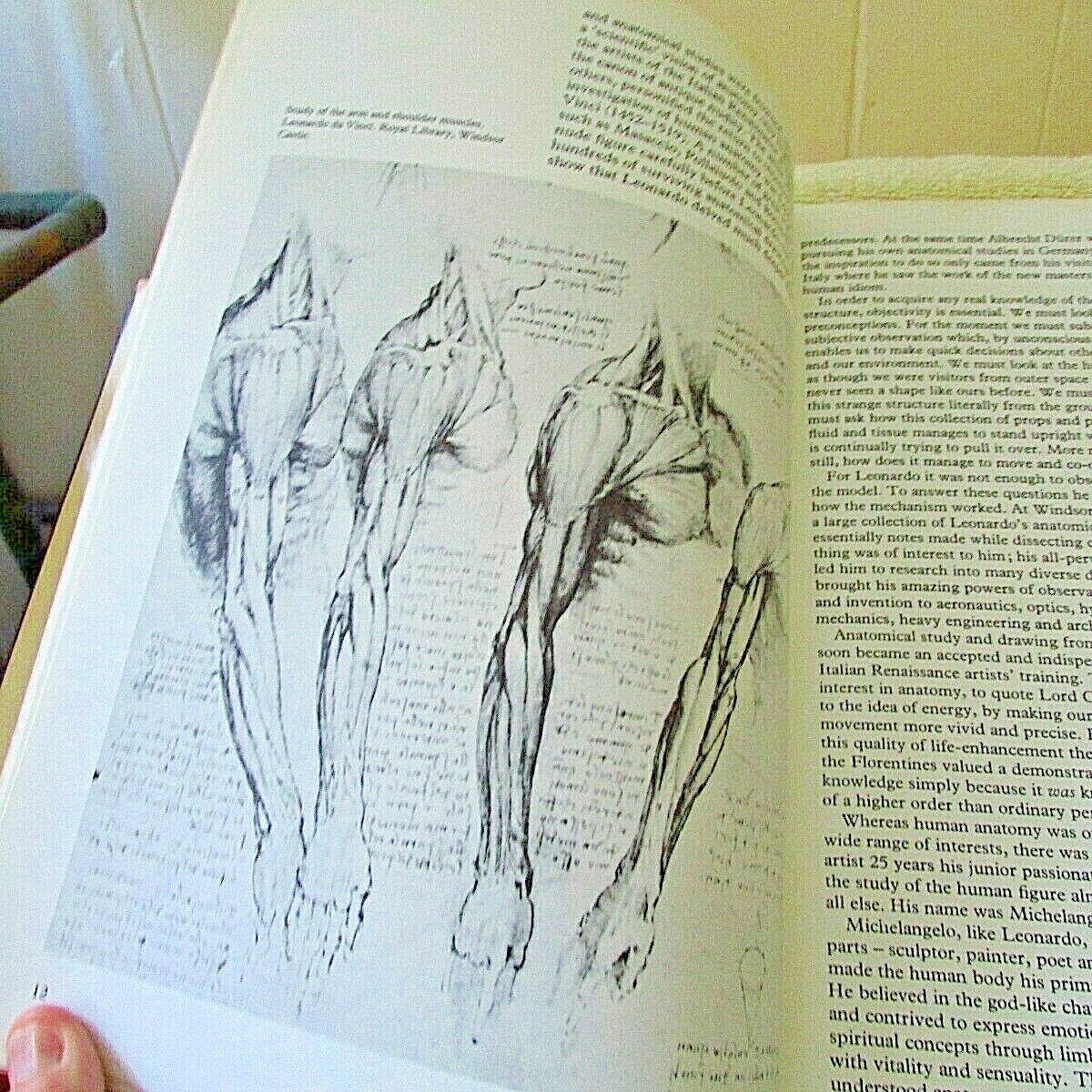 Human Anatomy Art Reference