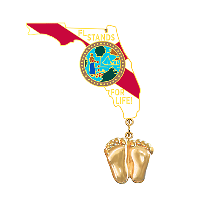 Precious Feet, 14K Gold Plated, Florida Flag Jewelry, Lapel Pin | eBay