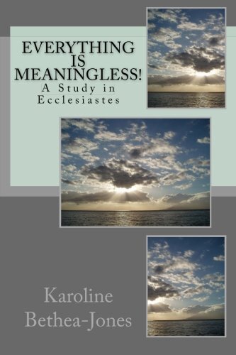 Everything Is Meaningless!: A Study in Ecclesiastes (SHSIC Ministry ...