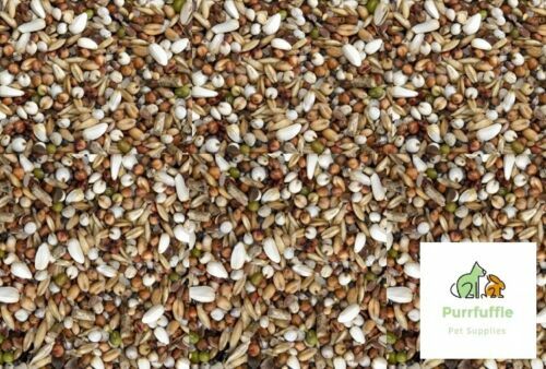 PIGEON CONDITIONER seed food with Aniseed Dari Linseed Rapeseed Millet ...