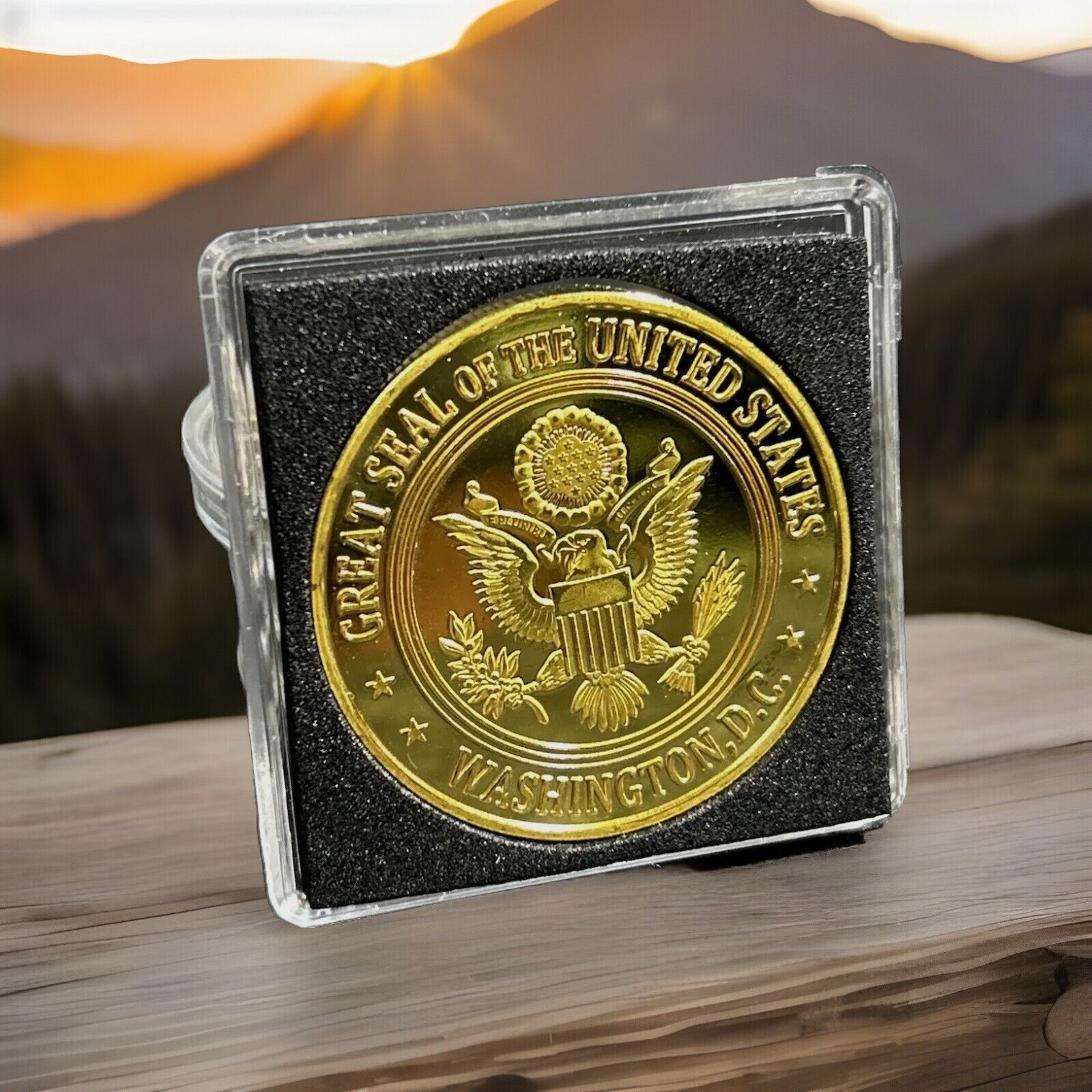 NEW HAMPSHIRE NH 1776 State Seal Colorized Collectible Challenge Coin W ...