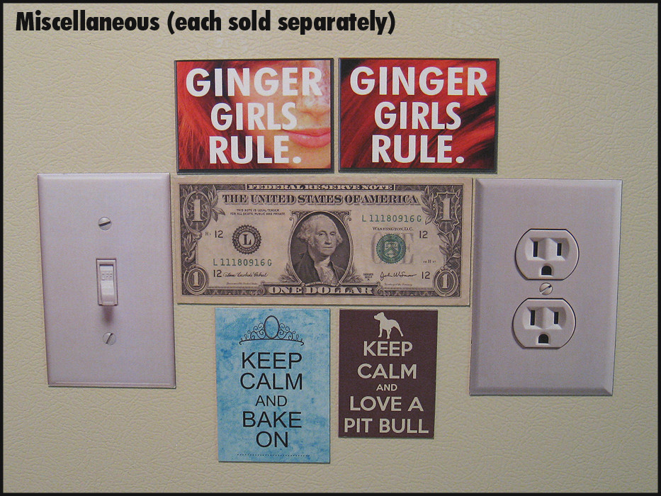 Fridge Fun Refrigerator Magnet "EXTENDED CAR WARRANTY" Funny Word Meme ...