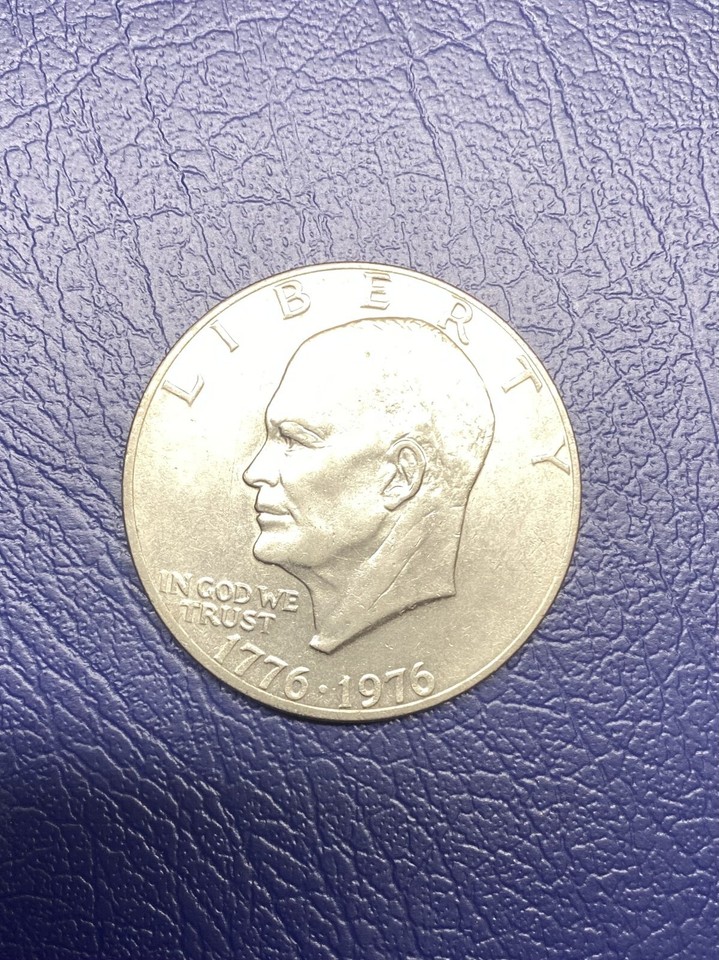 (US COINS Lot) Starter Coin Collection Indian Heads, Ike Dollars ...