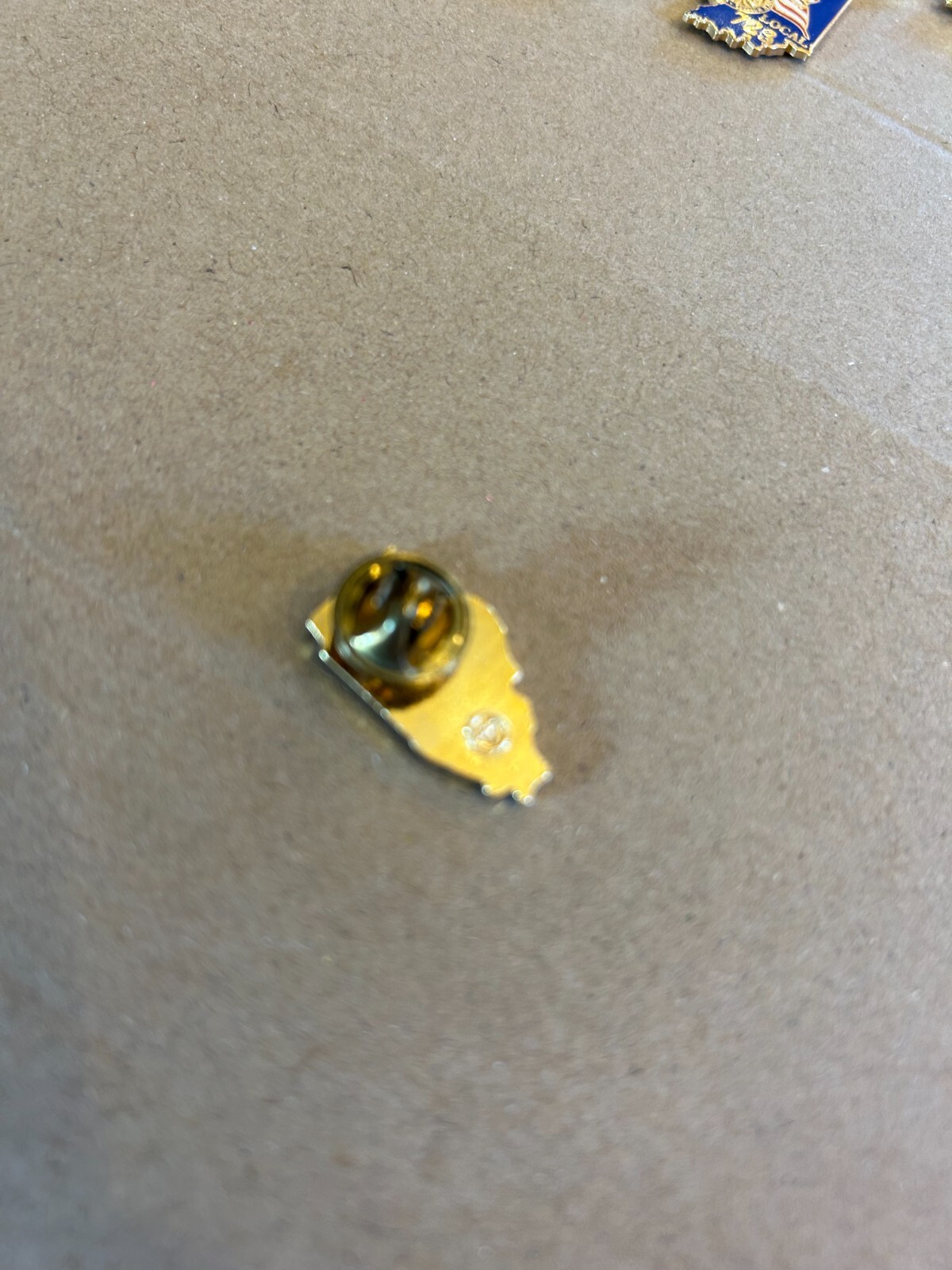 IBEW Local 150 Union Lapel Pin Lake County Illinois | eBay