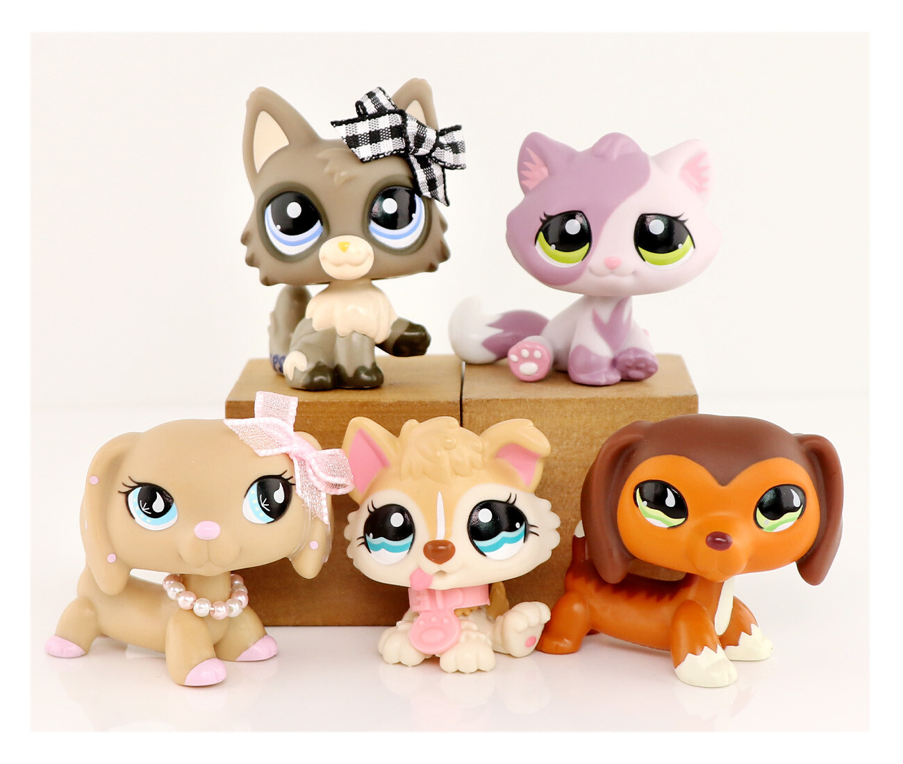 5pcs Pet Shop LPS Wolfcat Dachshund Baby Husky Bon Bon & Accessories ...