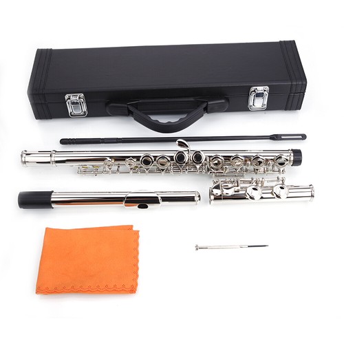 Silver 16 hole closed cell brass flute with E-key (nickel plated), bar ...