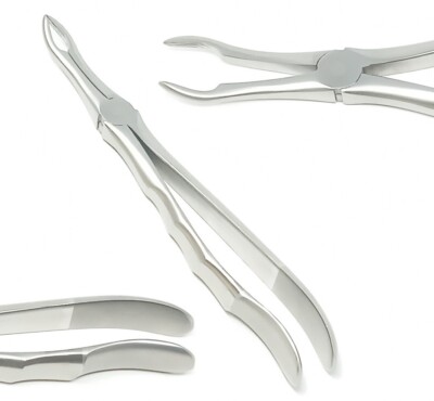 Premium Root Tip Dental Extracting Forceps # 845 Serrated Orthodontic ...