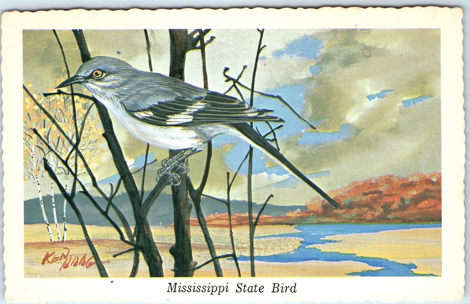 1973 MS Mississippi Bird Mockingbird Ken Haag Sunset Wetlands Painting ...