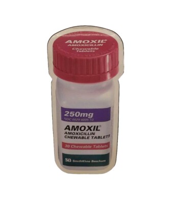 AMOXIL Die Cut Pharmaceutical Pharmacy Drug Rep Magnet 4" x 2" | eBay