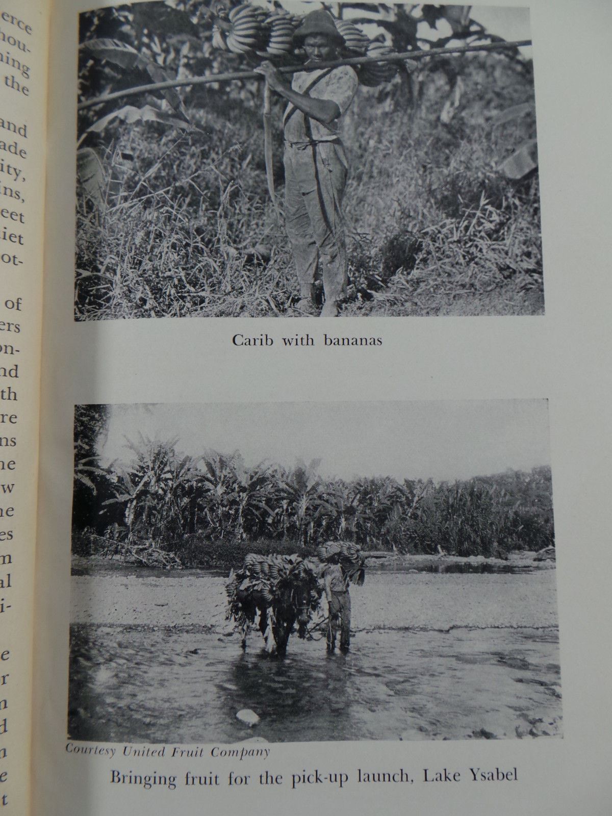 1932 Afloat Aflight Caribbean Airplane Old Photos Panama Costa Rica ...