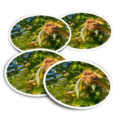 4x Vinyl Stickers Sweet Chestnut Tree Nature #52211 | eBay UK