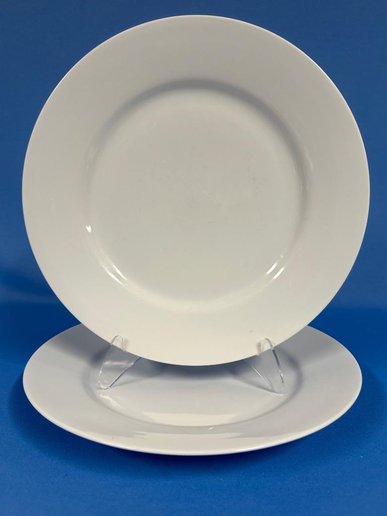 2 Crate and Barrel White Rimmed Dinner Plates from Sri Lanka | eBay