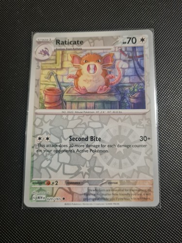 Pokemon Card - Pokemon 151 Reverse Holo Raticate 020/165 - M/NM | eBay