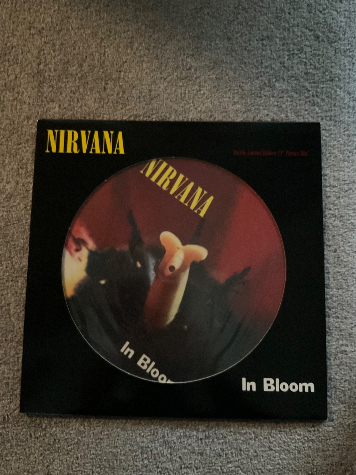 Nirvana In Bloom Rare 12 Inch Picture Disc Strictly Limited Edition ...