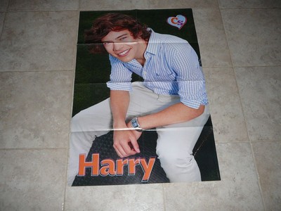 Harry Styles huge poster One Direction 1D picture Niall Horan Zayn ...