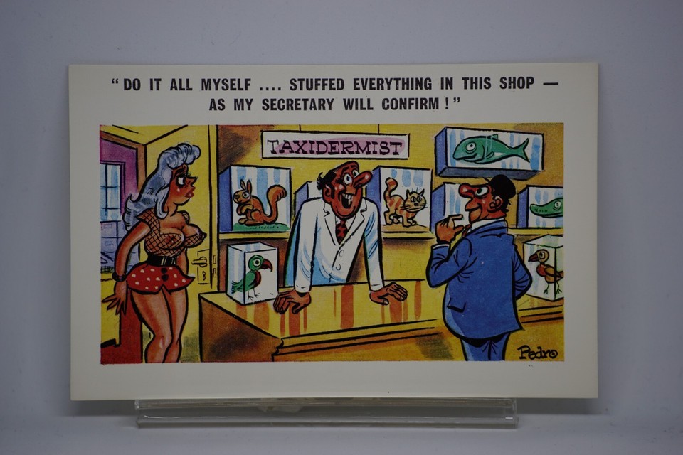 Postcard Seaside Comic Saucy Risqué Taxidermist Shop Sunny Pedro Series ...