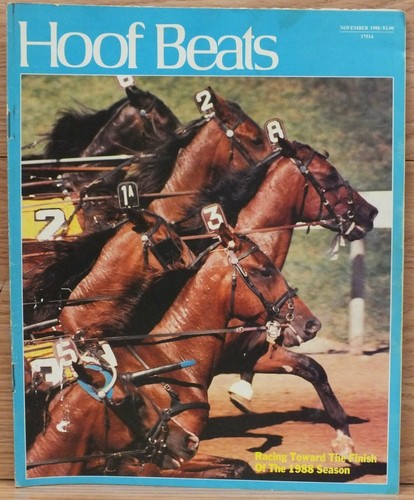 Vintage Hoof Beats (17514) Nov. 1988 Collectible Equestrian Horse ...