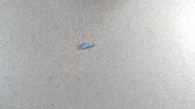 607199 Lawn-Boy Key | eBay