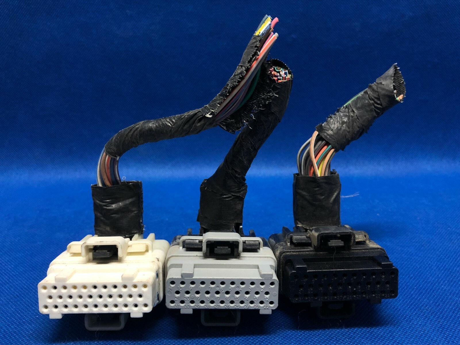03 Dodge Dakota 3.9L V6 MT ECM ECU WIRING HARNESS PLUGS CONNECTORS ...