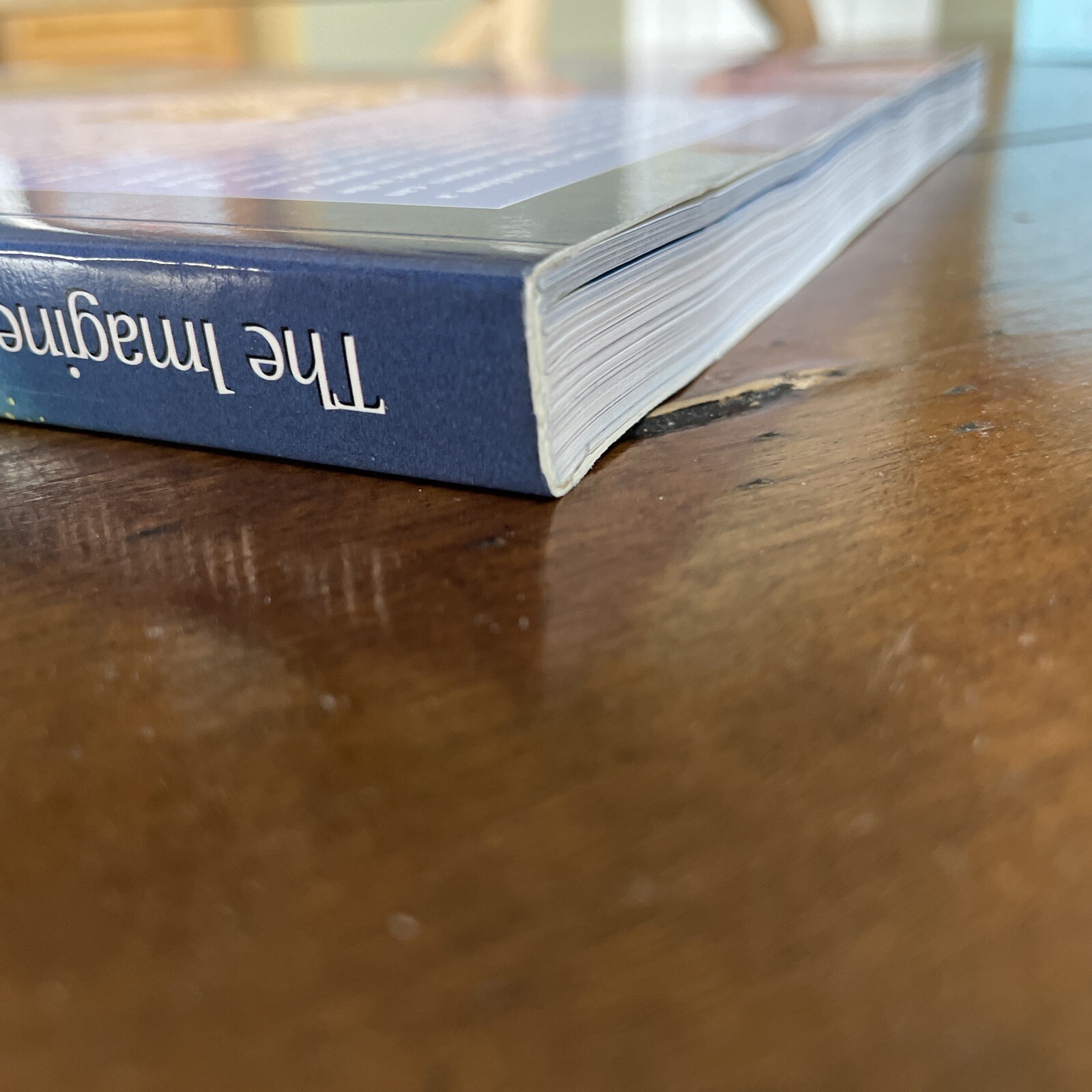 A Walt Disney Imagineering Book Ser.: Walt Disney Imagineering : A ...