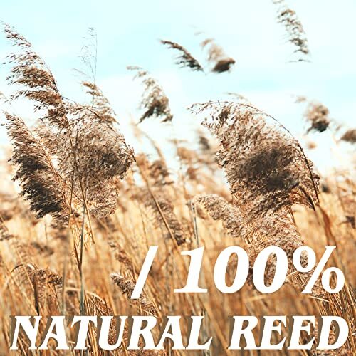 Natural Reed Fence Roller Blind5.5ft X 16.4ft Bamboo Fencing Privacy ...