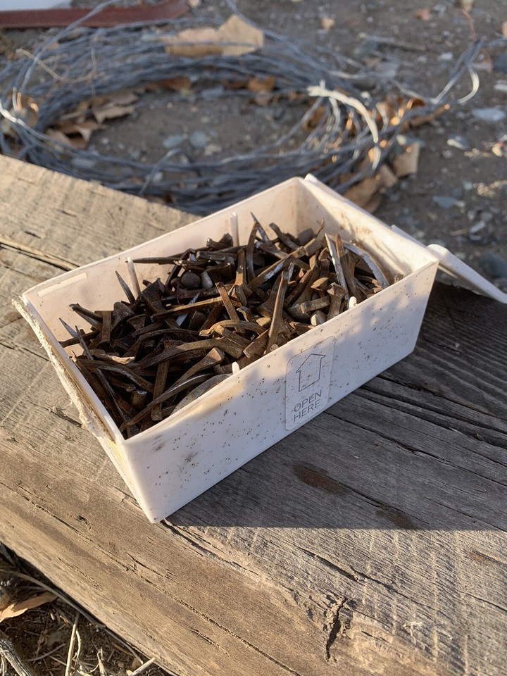 Full Box Of Used Horseshoe Nails Over 2 Pounds! Great For Crafts | eBay