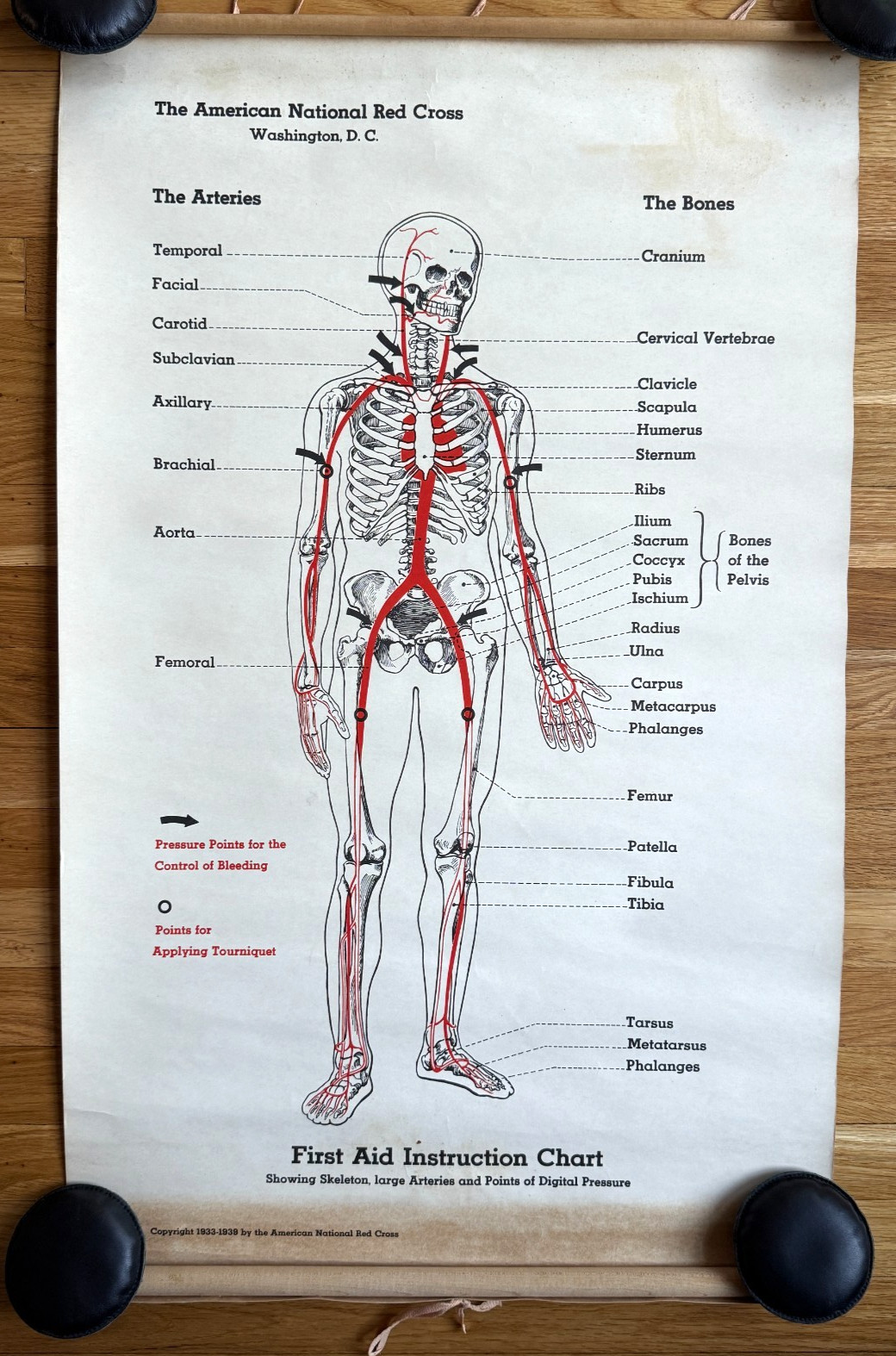 1930s Red Cross First Aid Chart Medical Classroom Poster, Vintage