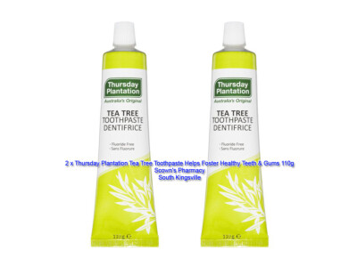 2 x Thursday Plantation Tea Tree Toothpaste Fluoride Free Toothpaste ...