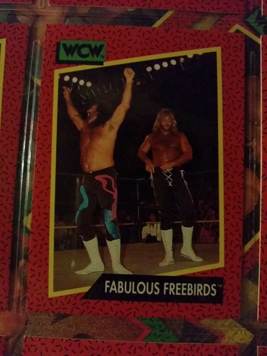 FABULOUS FREEBIRDS #127 TRADING CARD WCW Wrestling Vintage 1991 Impel ...