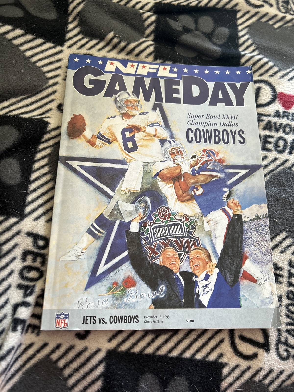 NFL Game Day Magazine December 18, 1993 | eBay