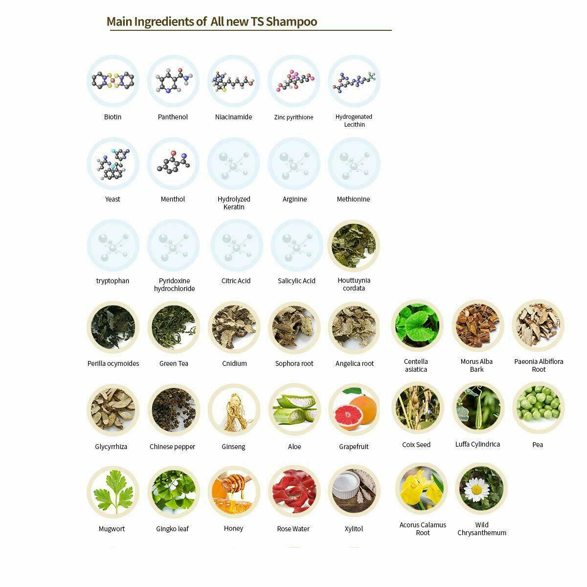 The Trust Premium TS Shampoo 300g / Hair Loss Prevention Shampoo / K ...