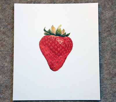 CLOSING SALE botanical limited edition signed print ‘Strawberry’ by Ann ...