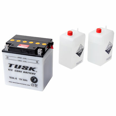 Tusk Tec-Core Battery with Acid TB30LB | eBay