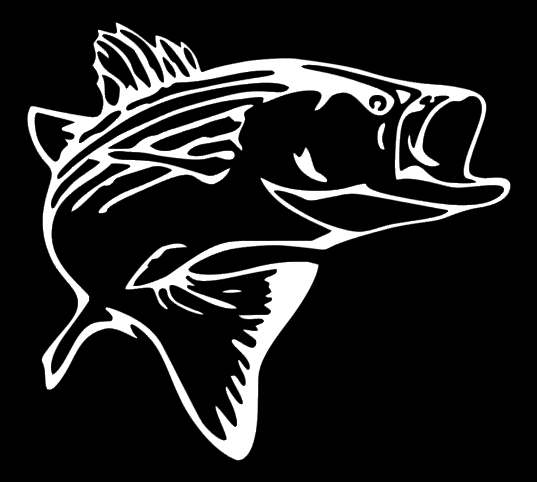 Striper Decal, Rockfish, Fishing Decal for Truck, Car, Window, Outdoor ...