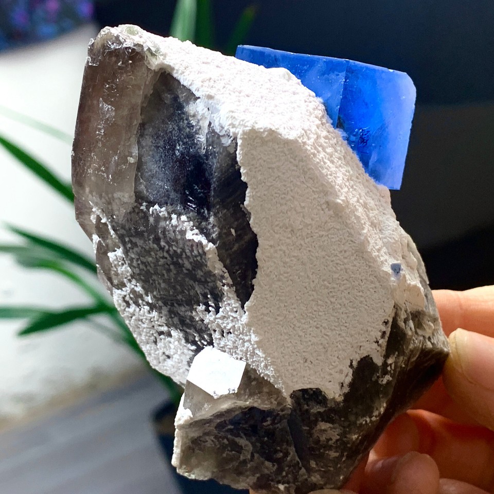 343G Rare transparent blue cubic fluorite mineral crystal sample ...