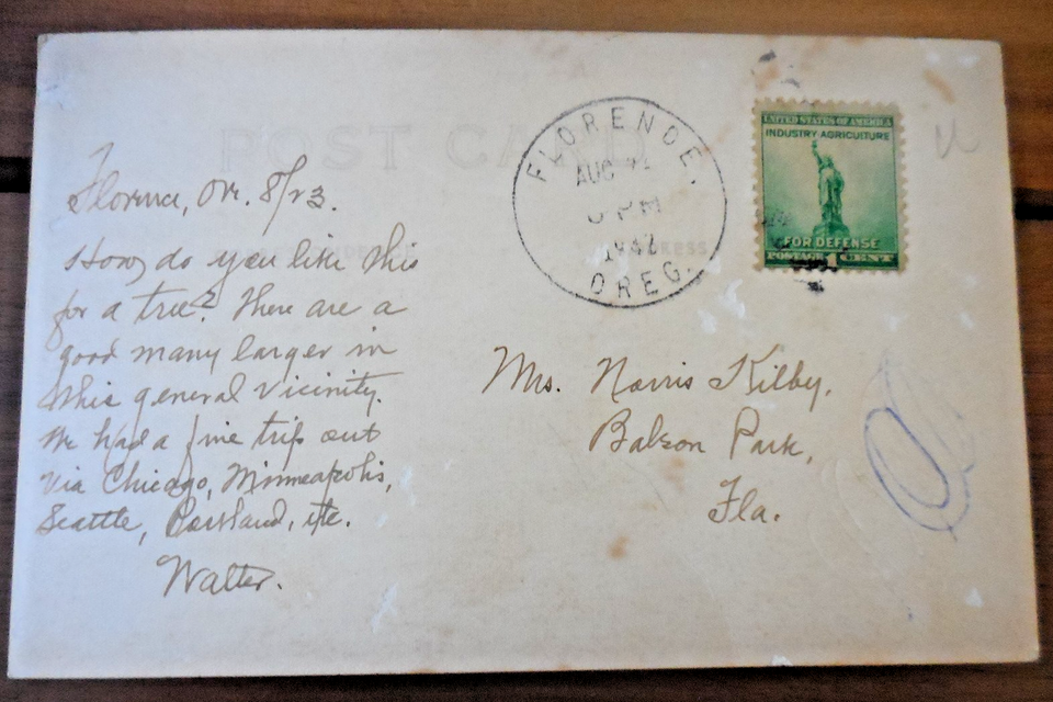 Coos County Oregon Giant Fir Tree Men Logging Real Photo Postcard RPPC | eBay