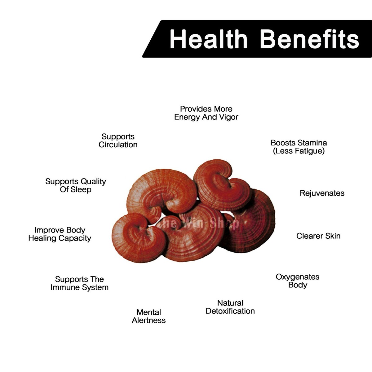 Ganoderma Lucidum Benefits