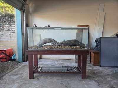 reptile enclosure 4ft | eBay Australia